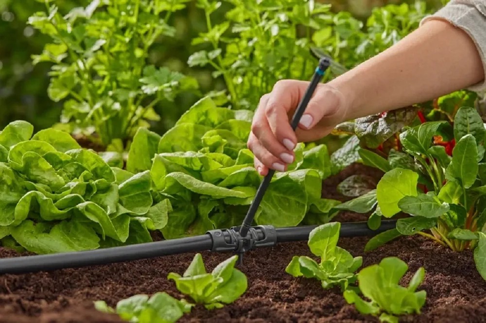 Gardena Micro-Drip-System T-kus pro rozprašovací trysky 13 mm (1/2"), 5 ...
