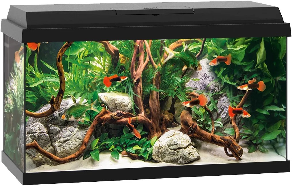 Juwel Aquarium Akvarijní set Primo LED, černý, 60 l, 61 x 31 x 37 cm ...