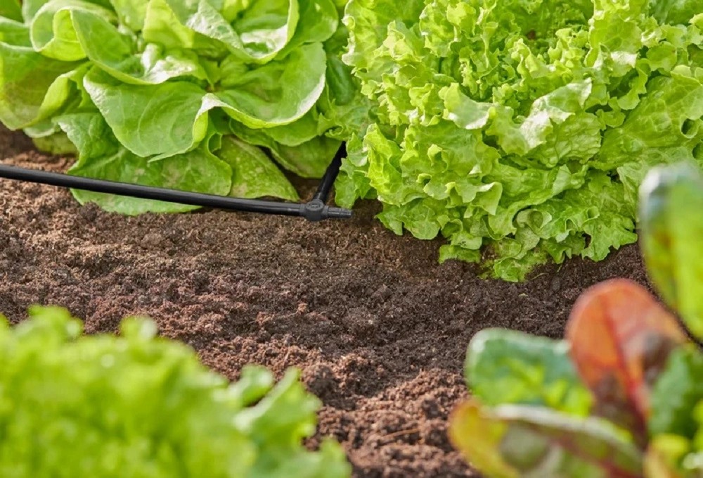 Gardena Micro-Drip-System T-kus 4,6 mm (3/16"), 10 ks nakoupit u OBI