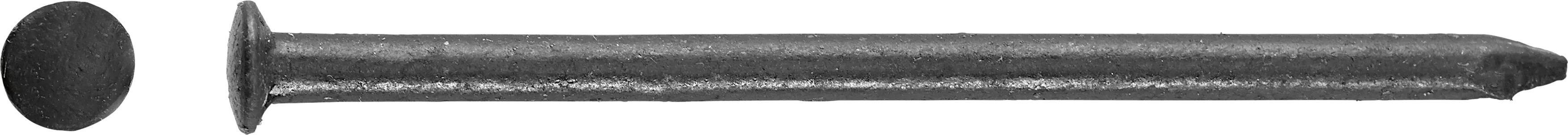 LUX-TOOLS Ocelový hřebík s čočkovou hlavou branýr.ocel pr. 2,5 x 50 mm ...