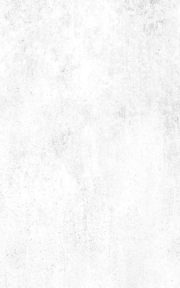 DIPRO Obklad Cement White 25 x 40 cm koupit v OBI