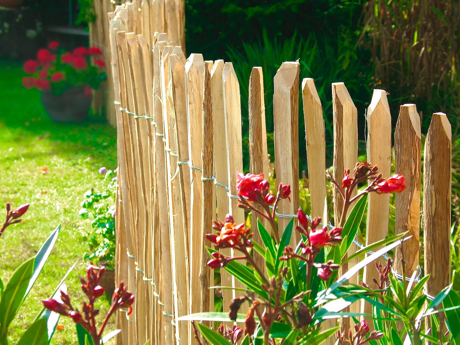 Floraworld Plaňkový zahradní plot, líska přírodní, 7-8 cm, 500 x 90 cm ...