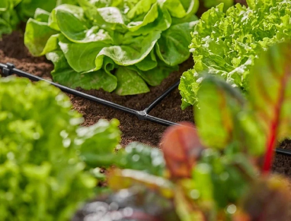 Gardena Micro-Drip-System T-kus 4,6 mm (3/16"), 10 ks koupit v OBI