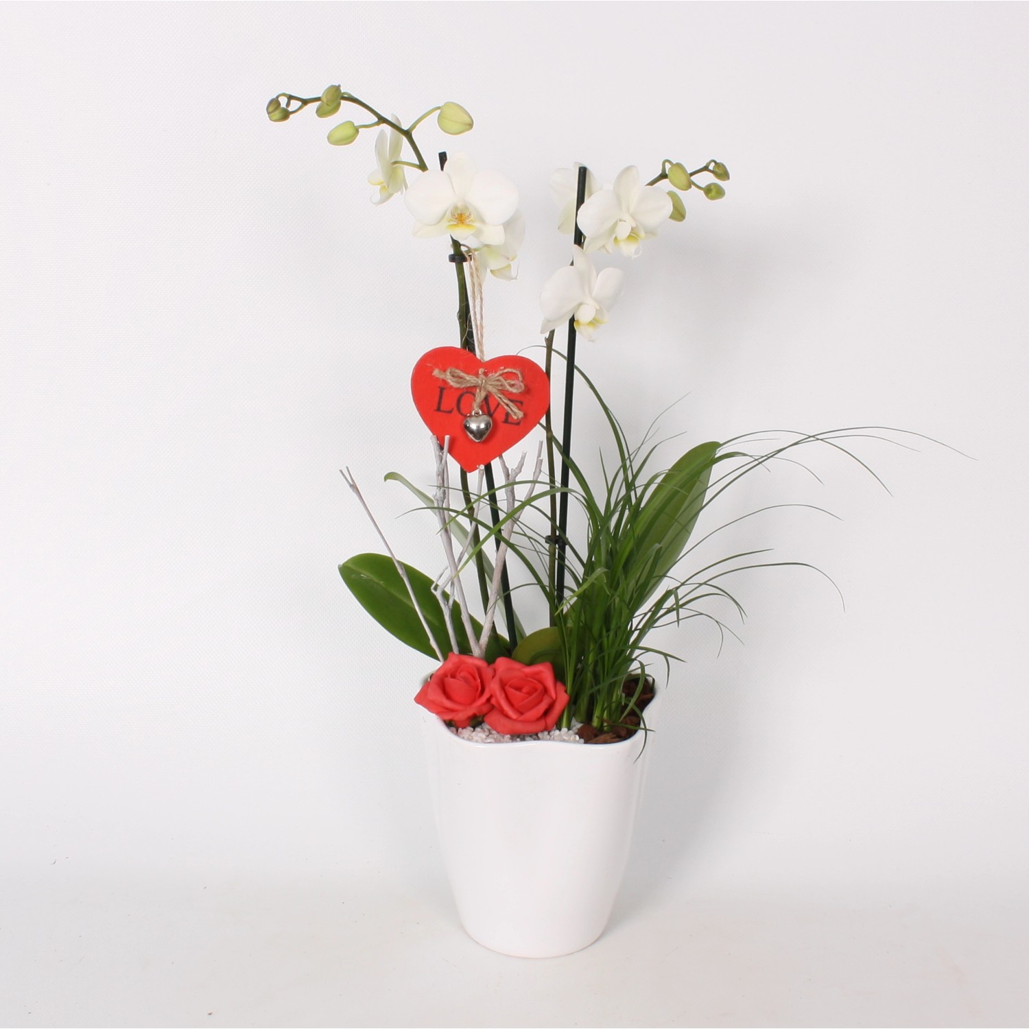 Červené aranžmá s orchidejí, prům. květináče 15 cm koupit v OBI