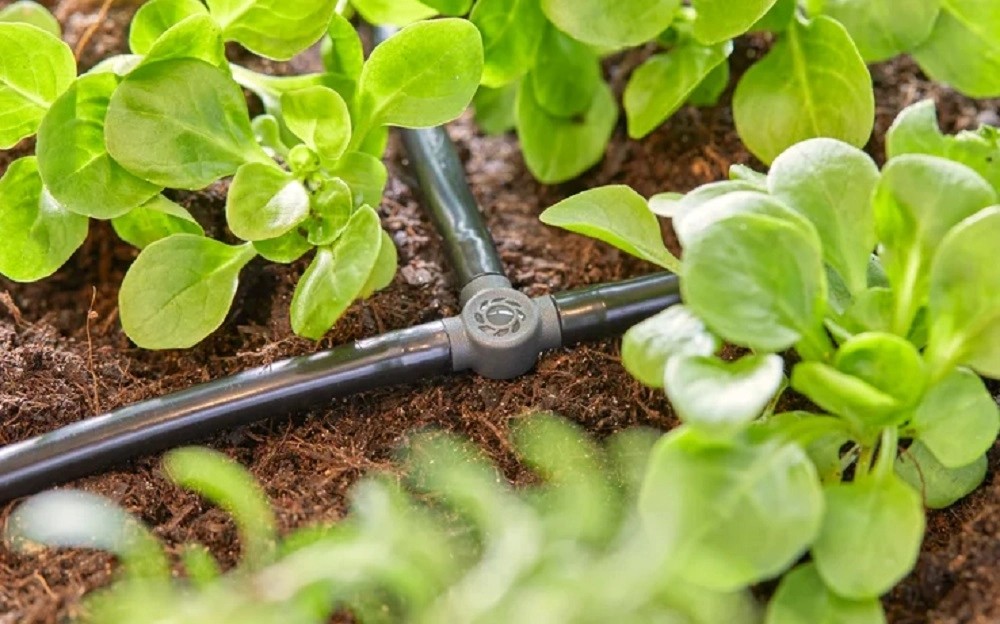 Gardena Micro-Drip-System T-kus 4,6 mm (3/16"), 10 ks koupit v OBI