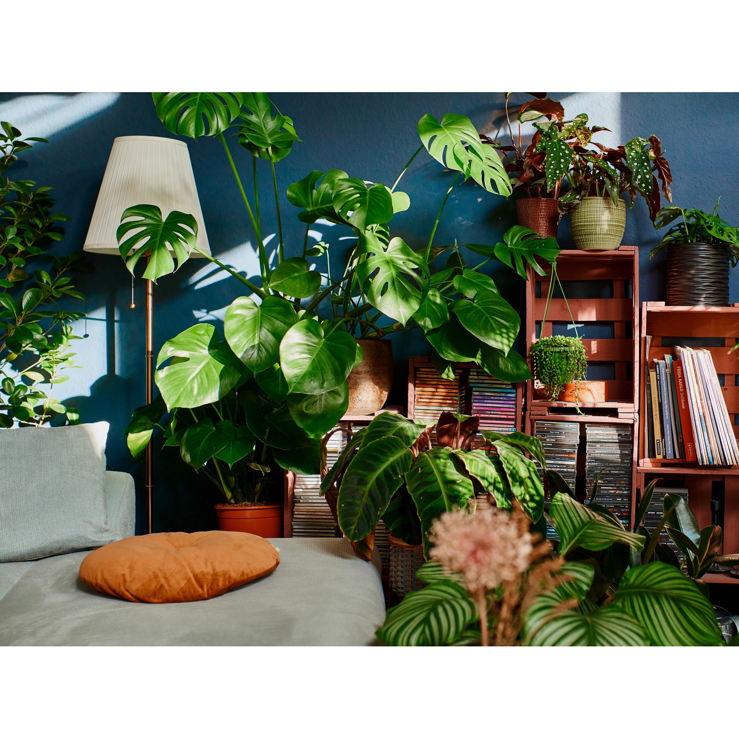 Seramis Hnojivo pro zelené rostliny a palmy 500 ml nakoupit u OBI