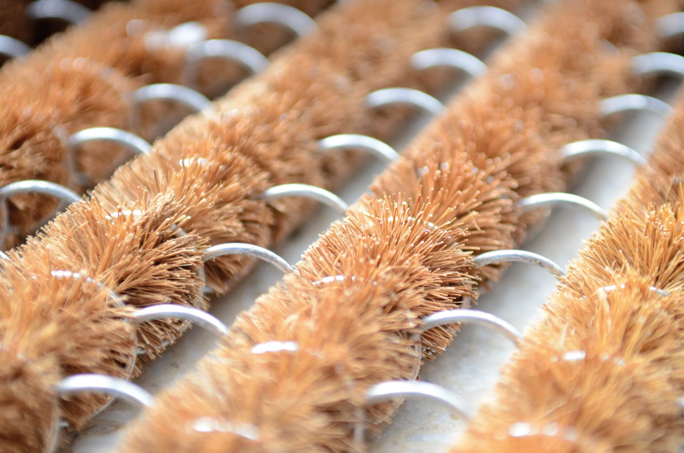 Astra Rohožka Coco Brush Rectangular, 40 x 60 cm koupit v OBI