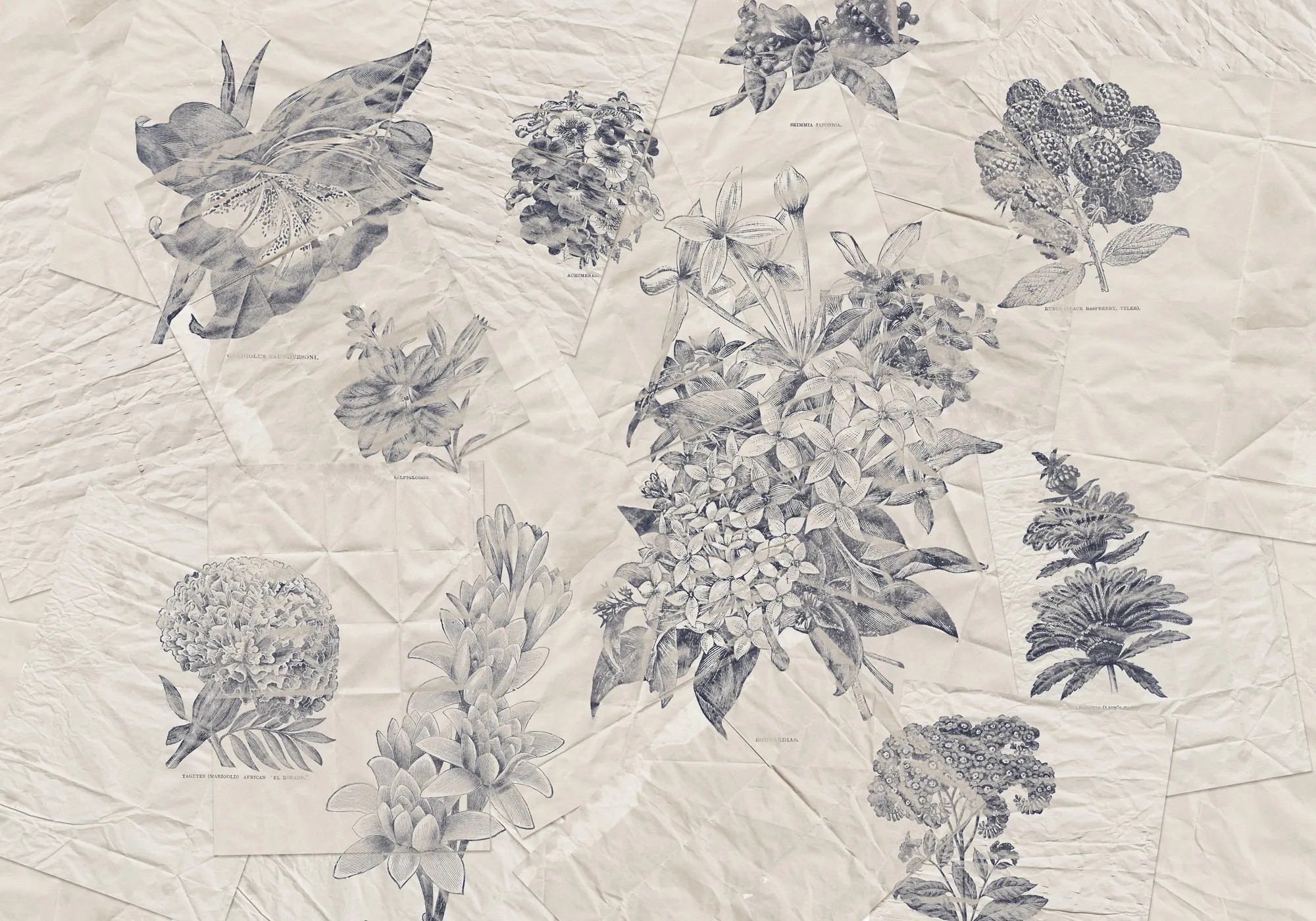 Komar Vliesová fototapeta Botanical Papers 400 x 280 cm