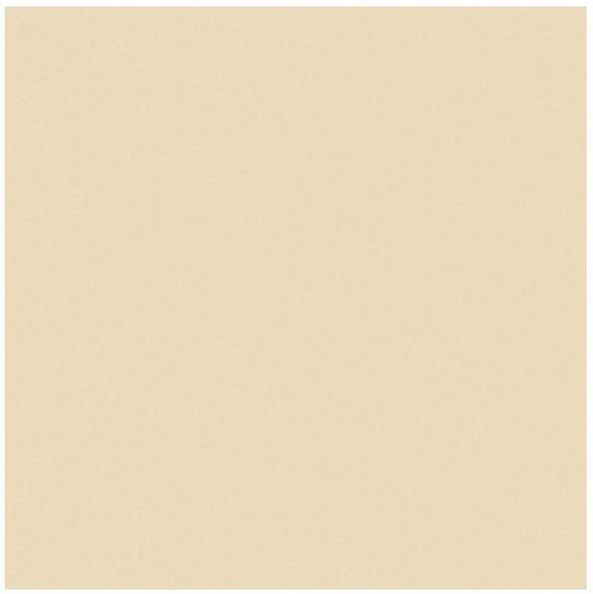 OBI Univerzální barva 2v1 hedvábně matná slonová kost 500 ml nakoupit u OBI