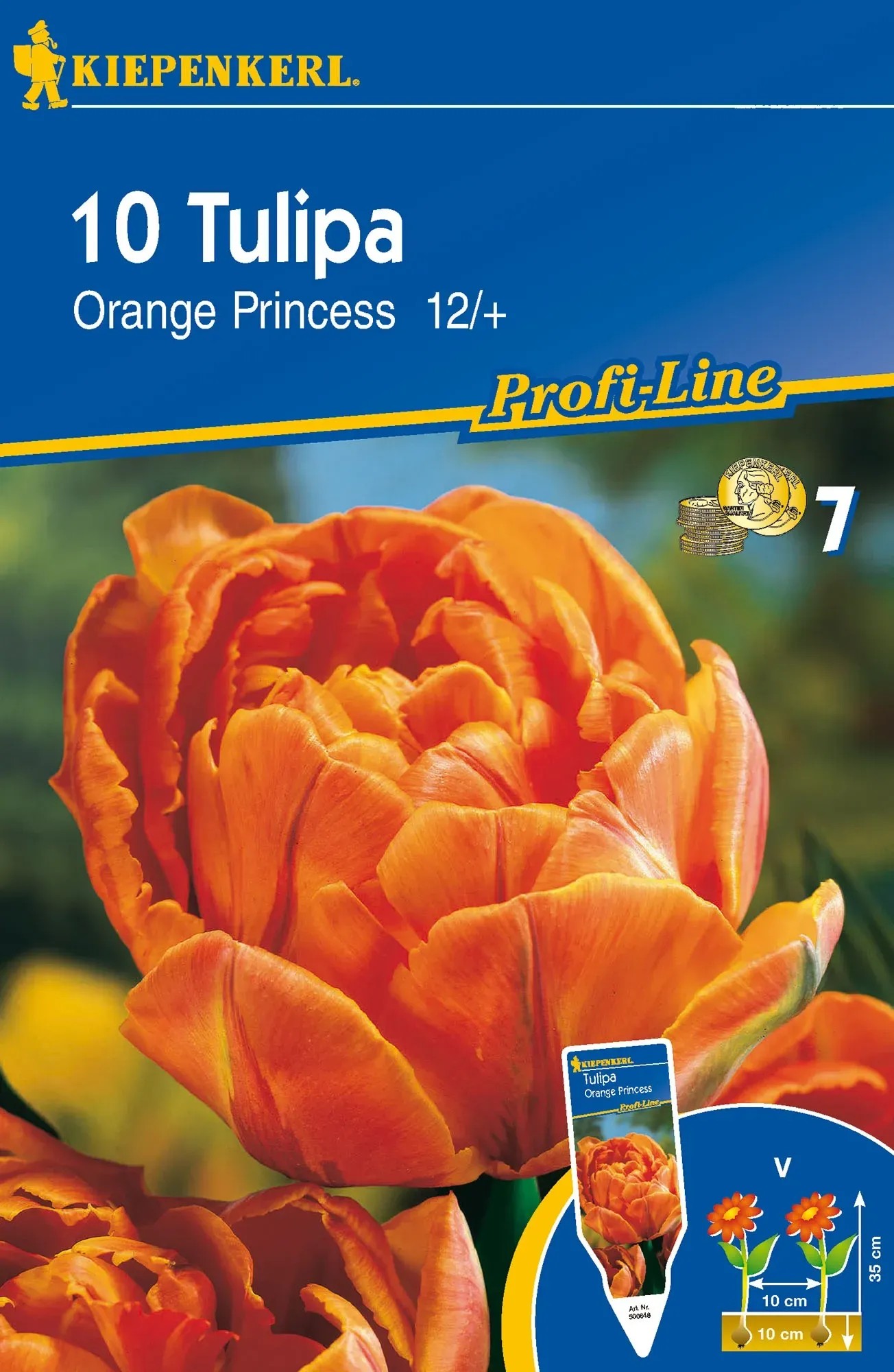 Tulipány Orange Princess nakoupit u OBI