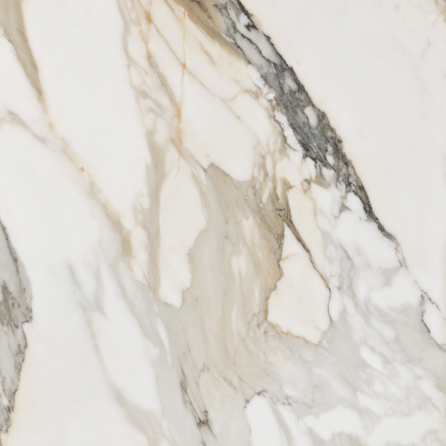 Stargres Dlažba Calacatta Gold, bílý mramor, 60 x 60 cm nakoupit u OBI