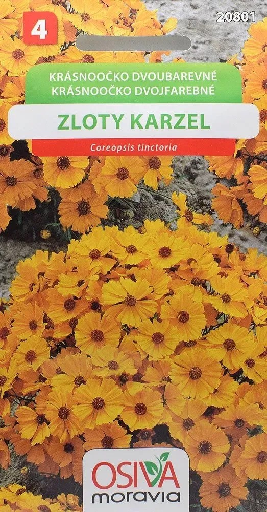 Semínka Krásnoočko dvojbarevné Zloty karzel (Coreopsis tinctoria)