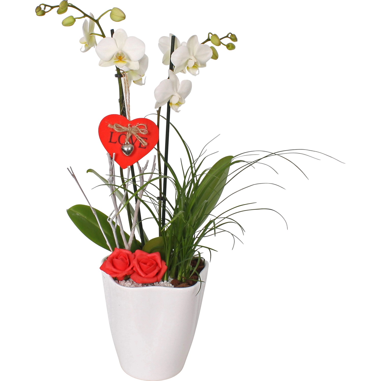 Červené aranžmá s orchidejí, prům. květináče 15 cm koupit v OBI