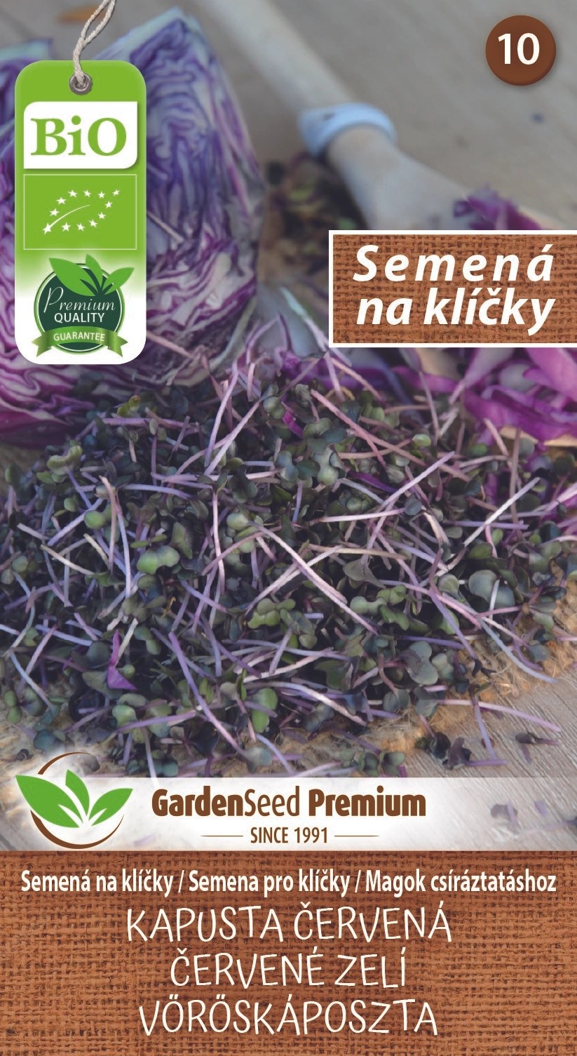 GardenSeed Premium Semena pro klíčky - Červené zelí nakoupit u OBI
