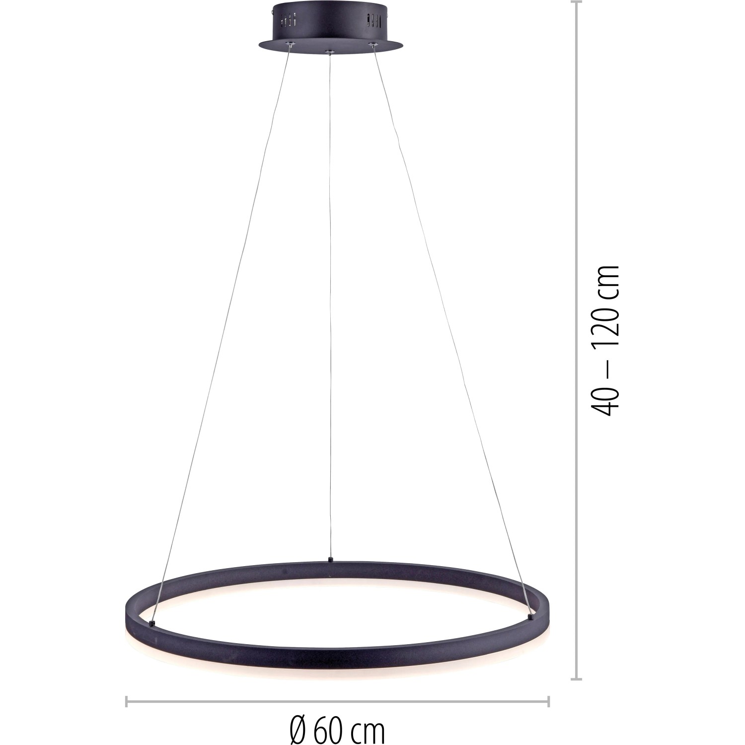Paul Neuhaus Závěsné LED svítidlo Titus, 38W, 5250lm, antracit, pr. 60 ...