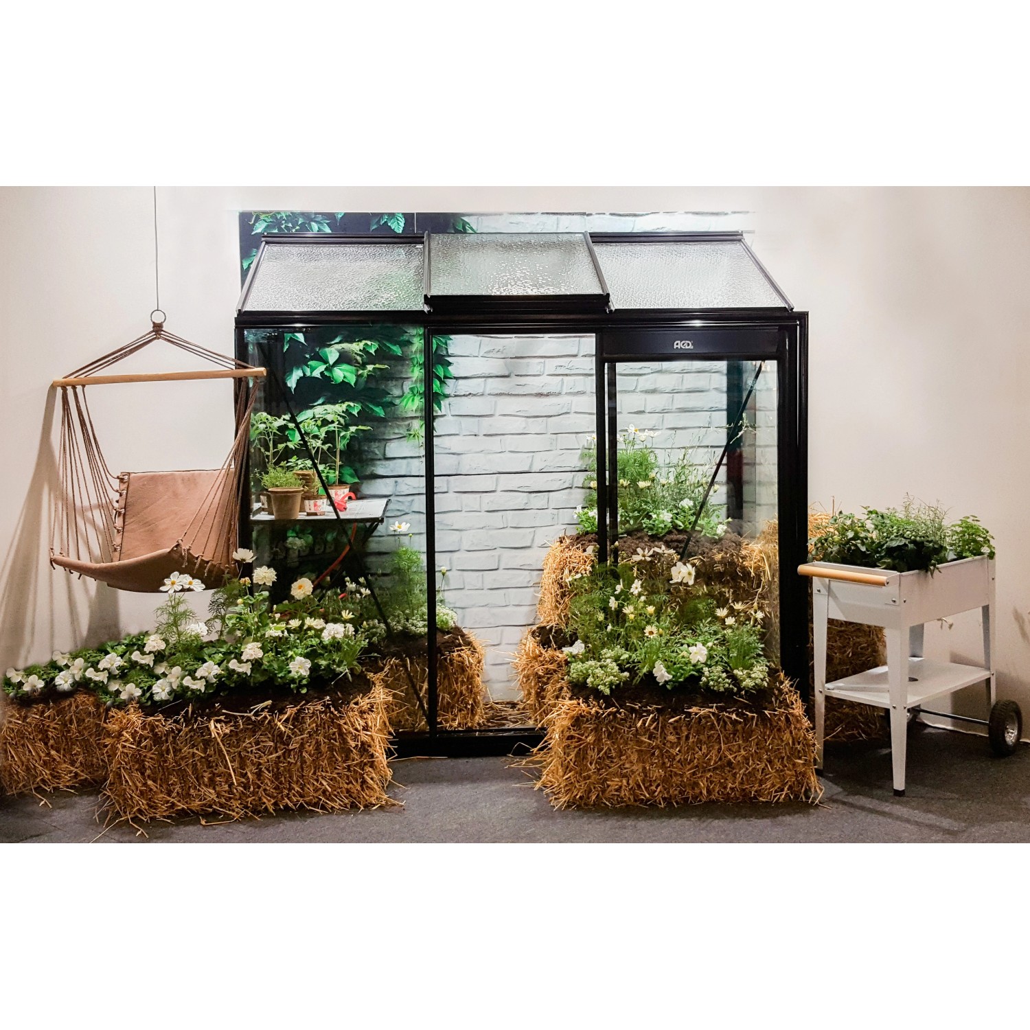 Gutta Skleník ke zdi Miccolo mix RAL 4 mm, 0,83 x 2,98 m koupit v OBI