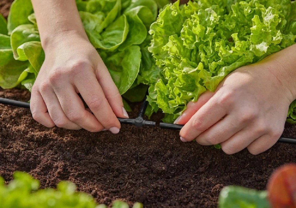 Gardena Micro-Drip-System T-kus 4,6 mm (3/16"), 10 ks koupit v OBI