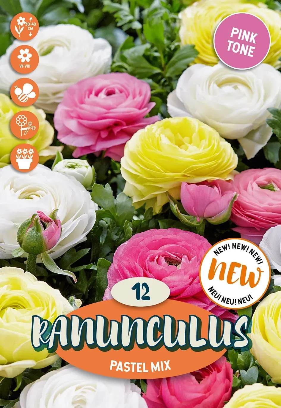 Royal De Ree Holland Květinové cibulky Ranunculus Pastel Mix 12 ks ...