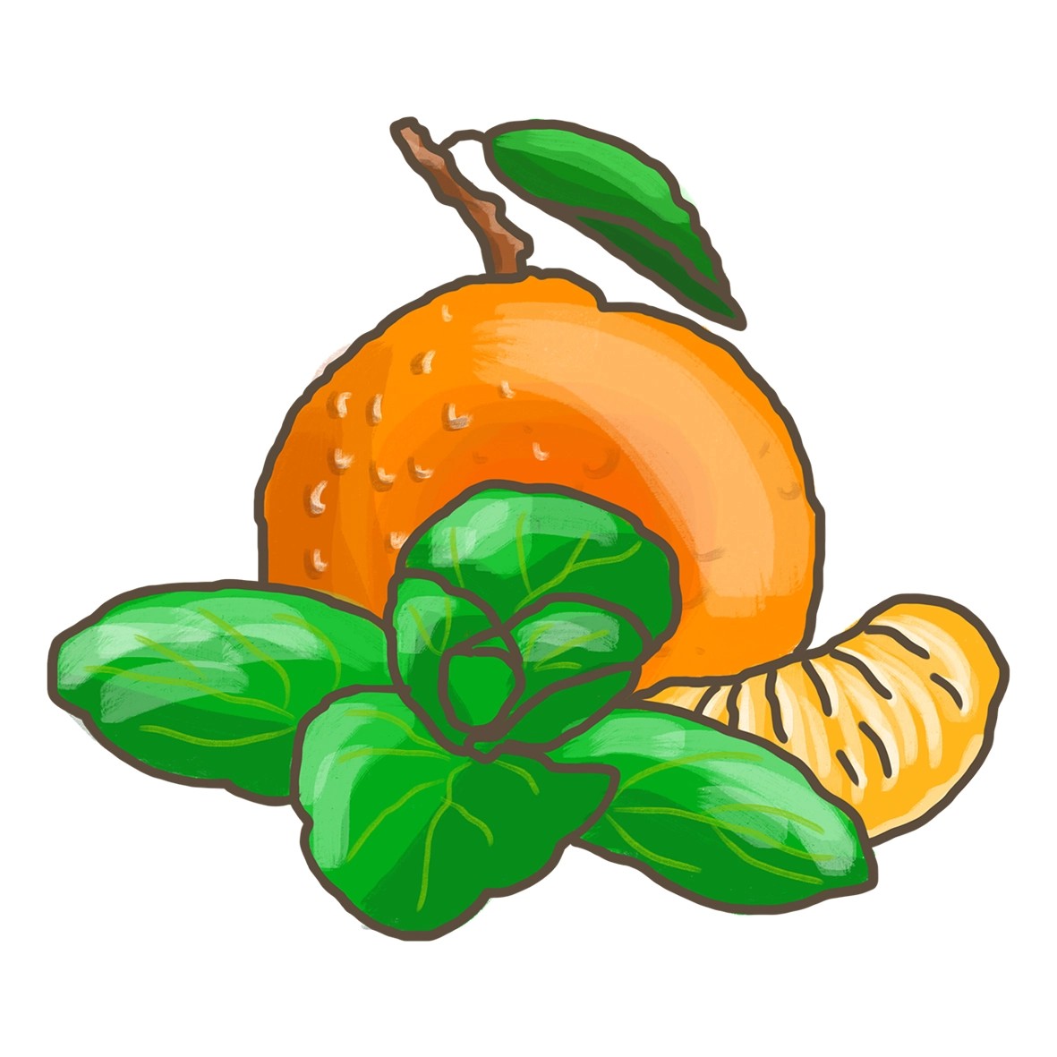 Blu Bio mandarinková máta průměr květináče cca 12 cm nakoupit u OBI