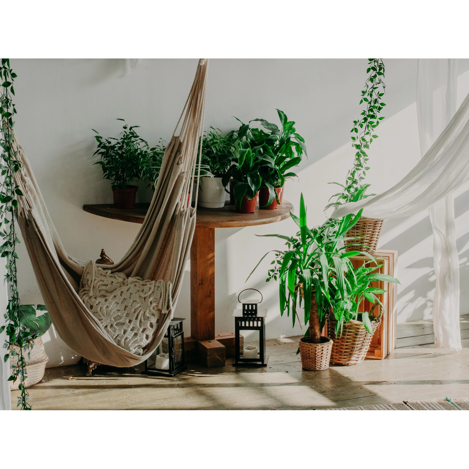 Seramis Hnojivo pro zelené rostliny a palmy 500 ml nakoupit u OBI