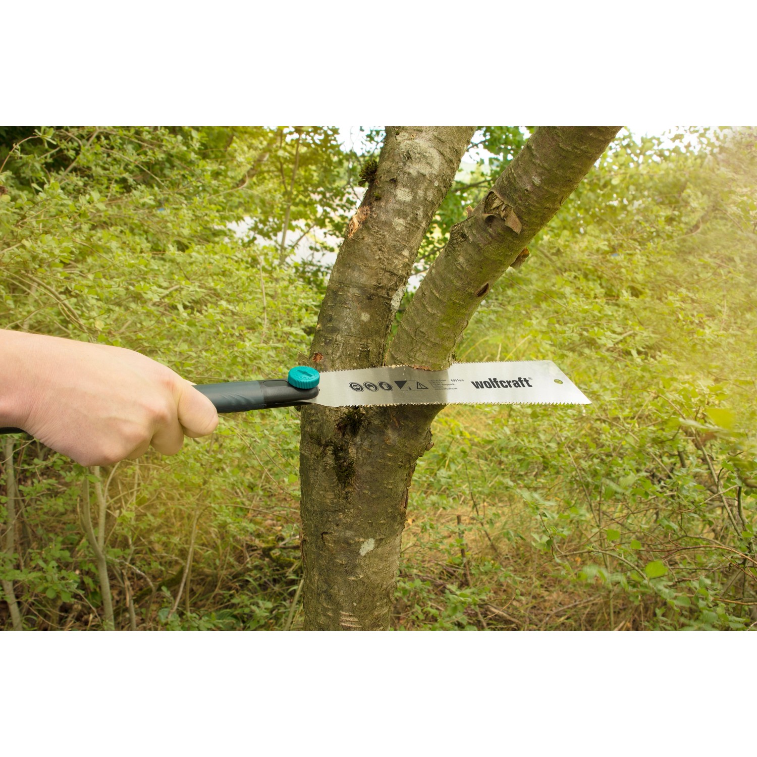 Wolfcraft Japonská pila 240 mm koupit v OBI