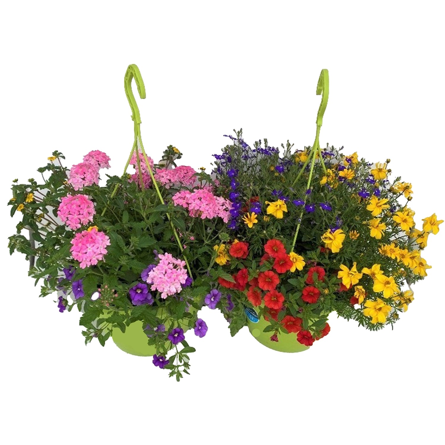 Různé druhy rostlin v závěsném květináči pr. 27 cm nakoupit u OBI