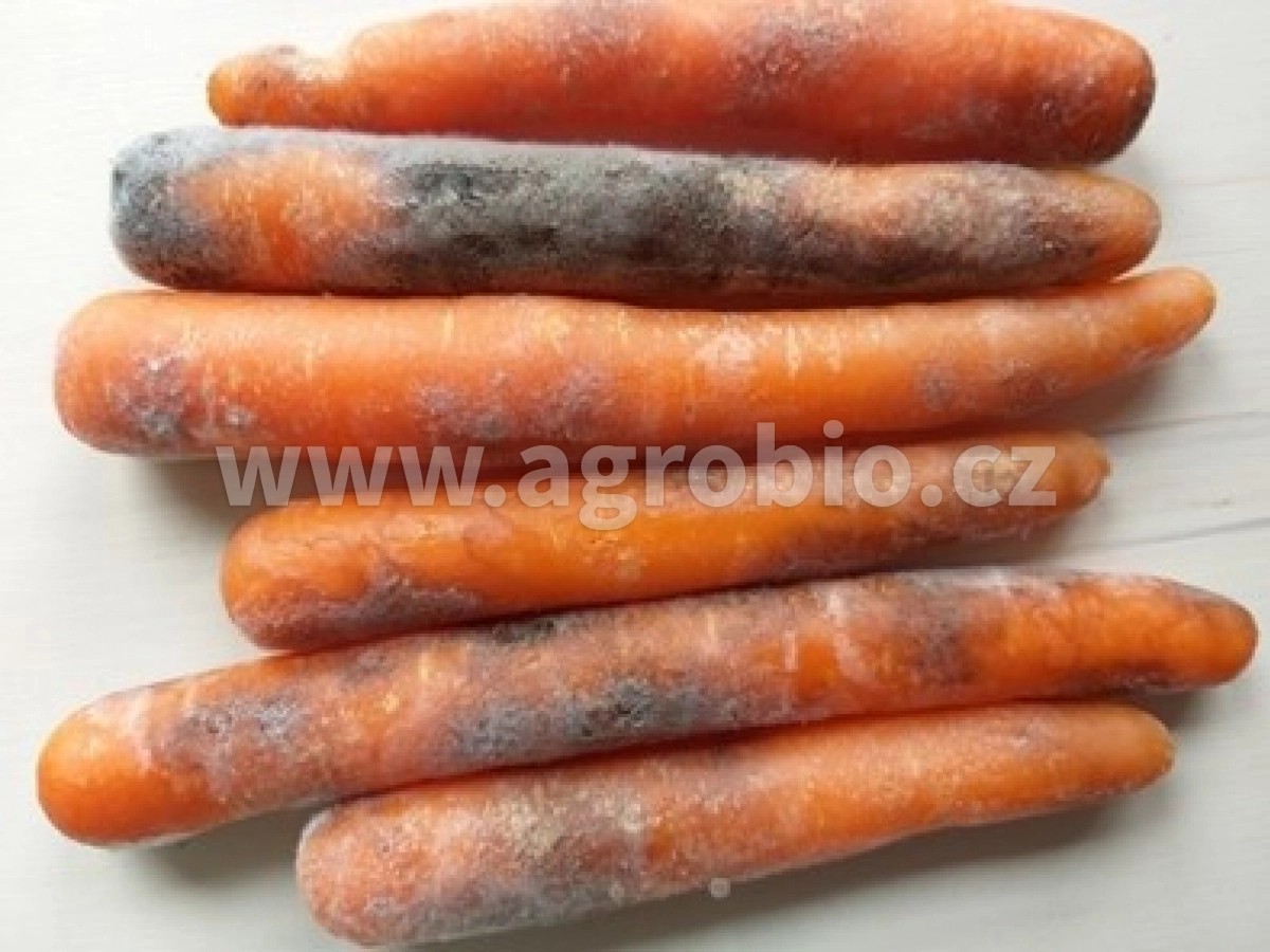 AgroBio Opava Odolnost rostlin Inporo Pro Trima M 500 g nakoupit u OBI