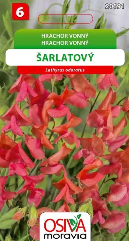 Semínka Hrachor vonný šarlatový (Lathyrus odorathus)