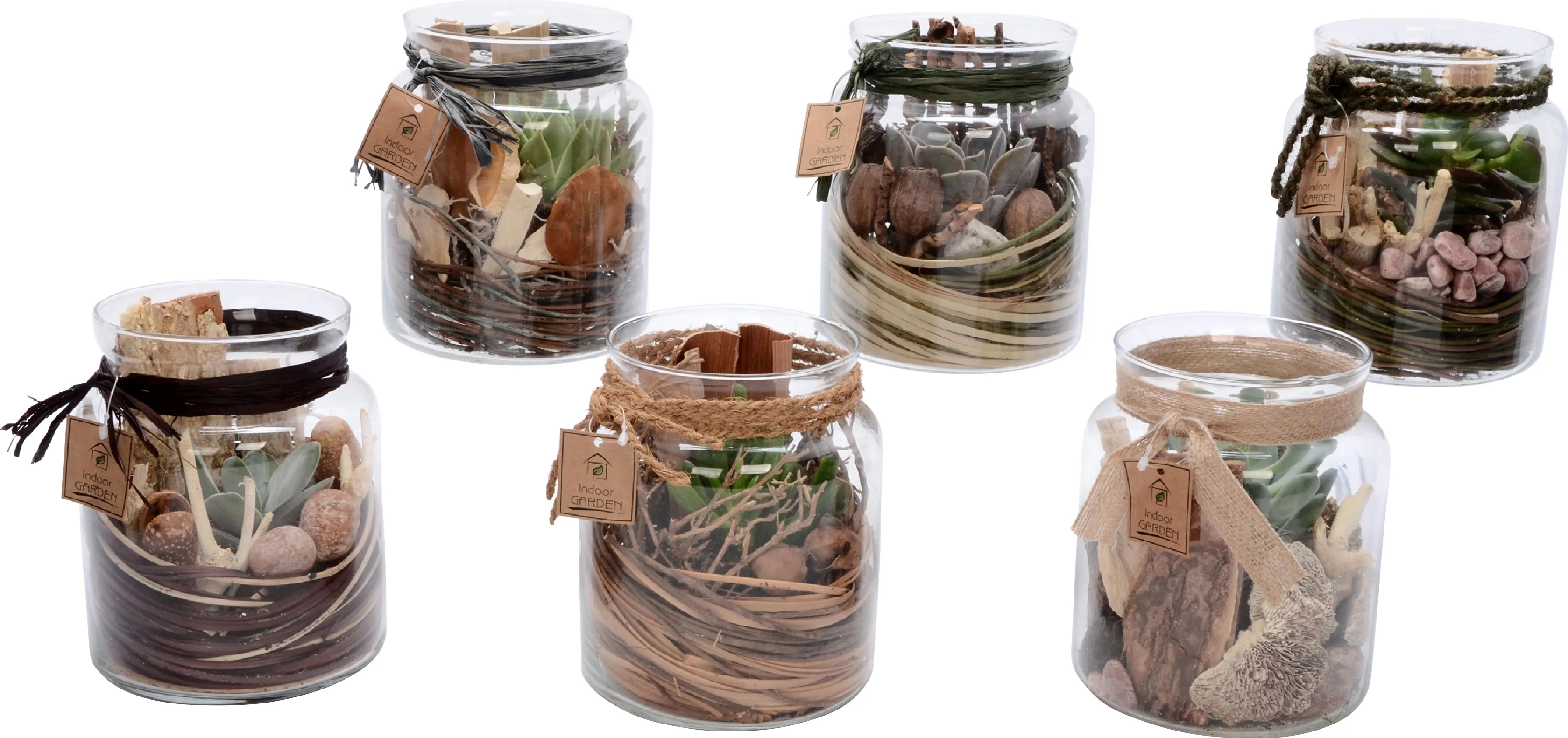 Aranžmá sukulentů ve skleněné nádobě průměr nádoby cca 12 cm koupit v OBI