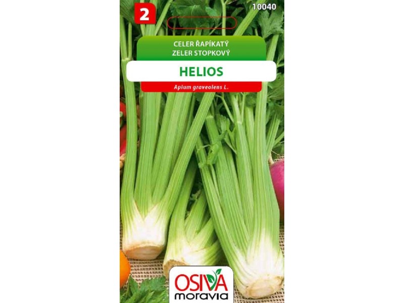 Semínka Celer řapíkatý Helios (Apium graveolens L.) nakoupit u OBI