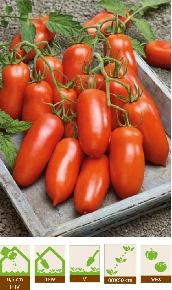 GardenSeed Premium Semínka Rajče kolíkové dálkové, Odat F1 - Hybrid