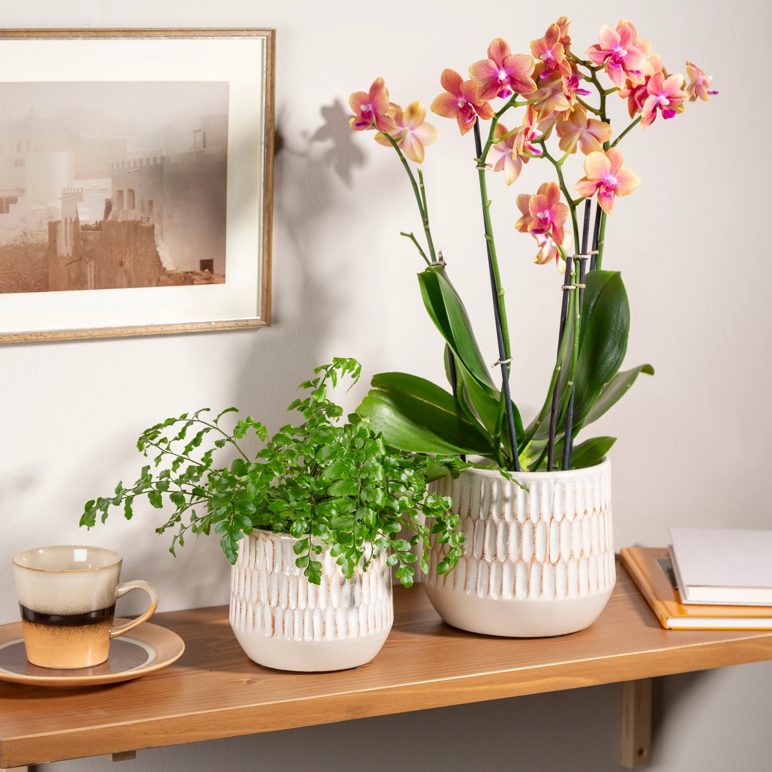 Scheurich Obal na květináč Mavi 785 Alabaster, pr. 13 x 11 cm koupit v OBI