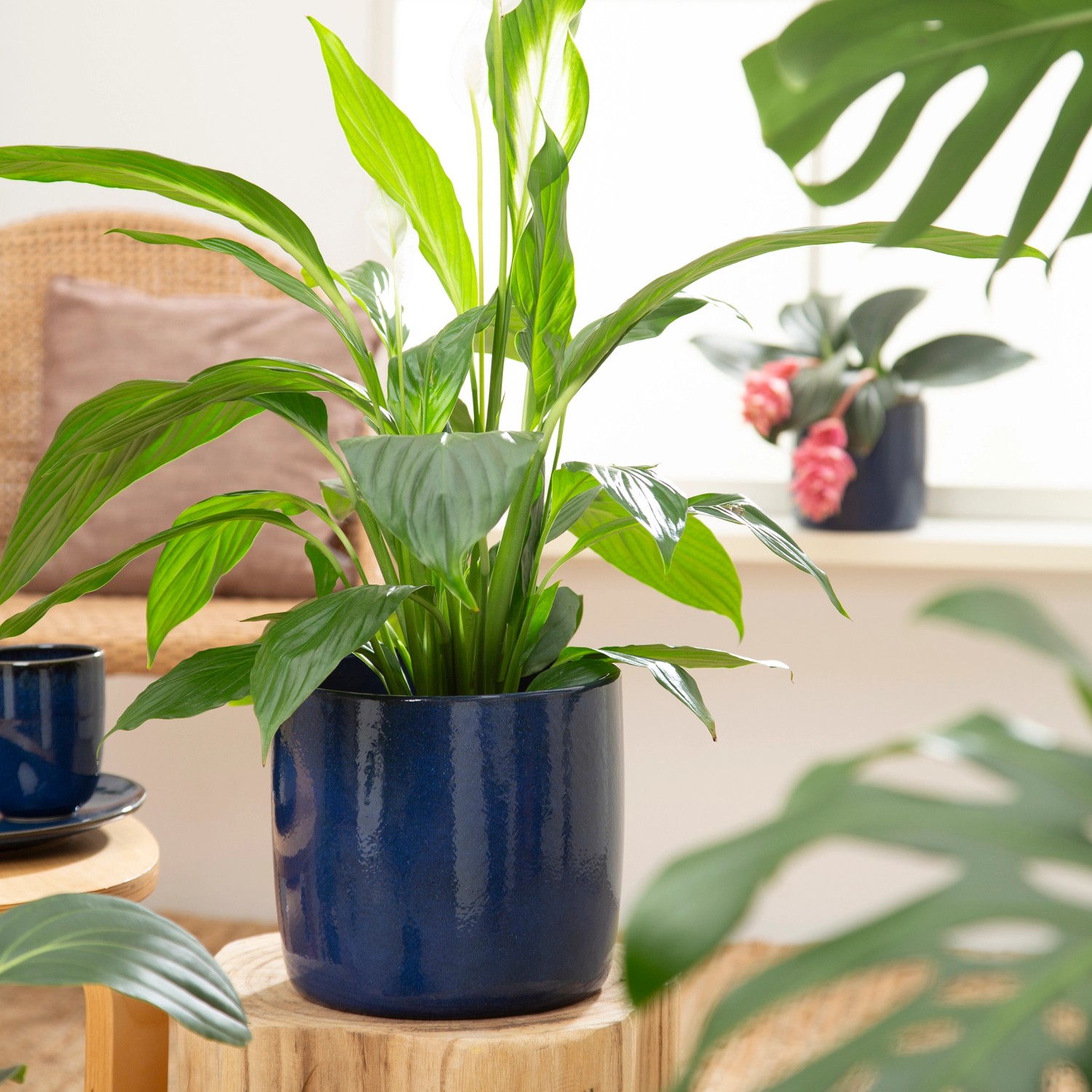 Scheurich Obal na květináč Solido 900 Mystic Blue, pr. 24 cm nakoupit u OBI