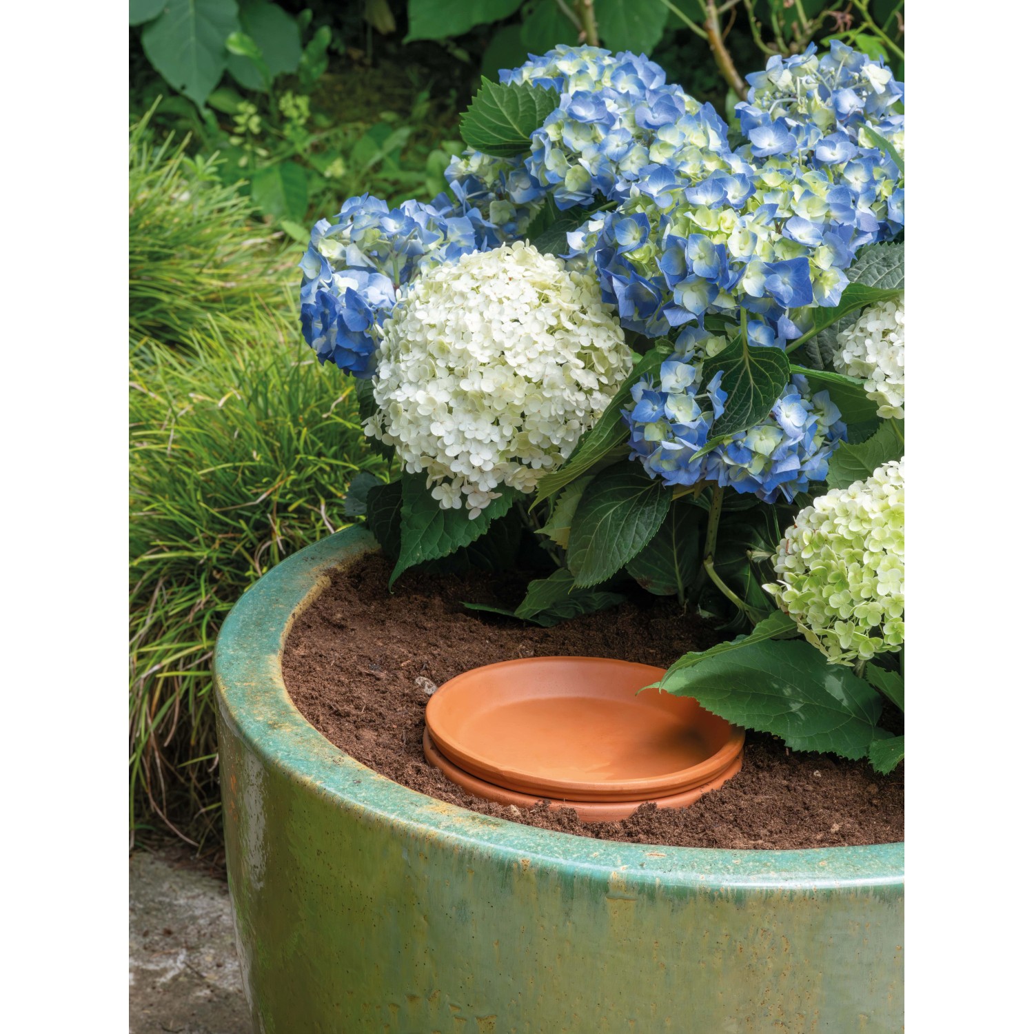 Deroma Zavlažovací kužel Aquado, pr. 12,2 x 15 cm nakoupit u OBI